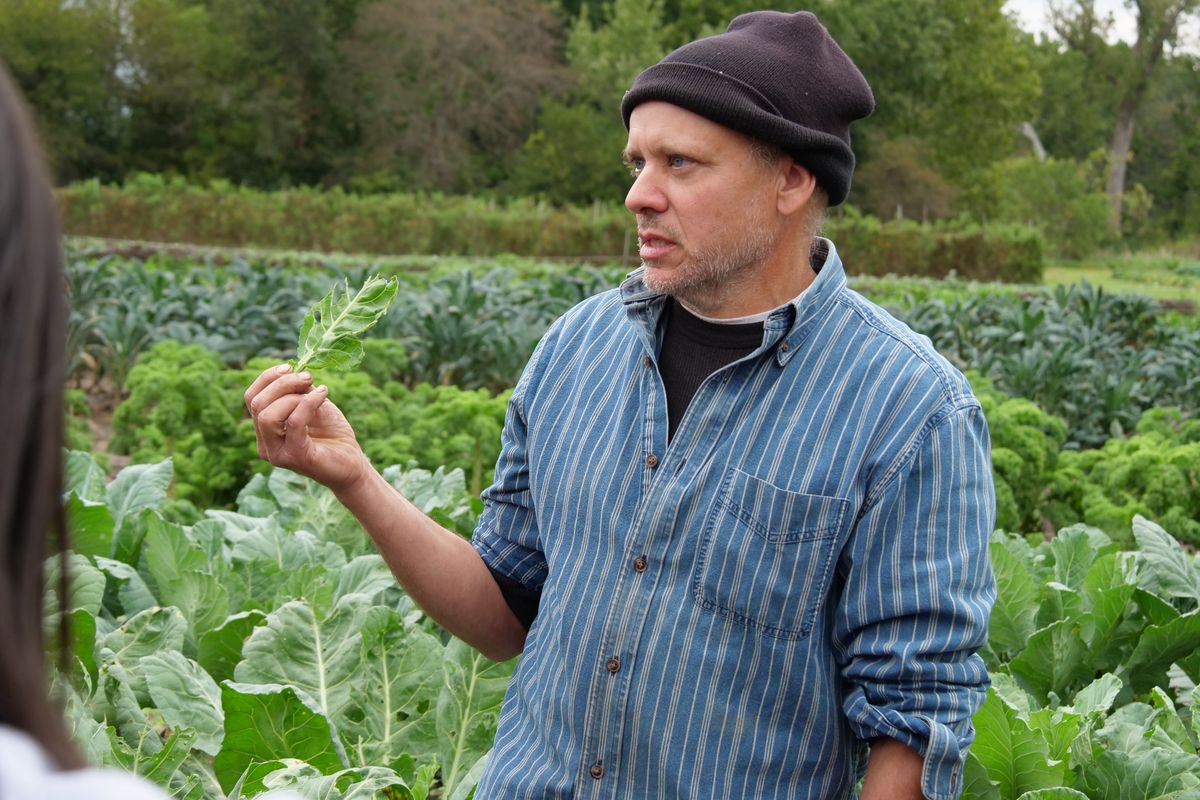 Sustainability Series: SEASONS OF CHANGE ON HENRY’S FARM (Part of AIFVF ...