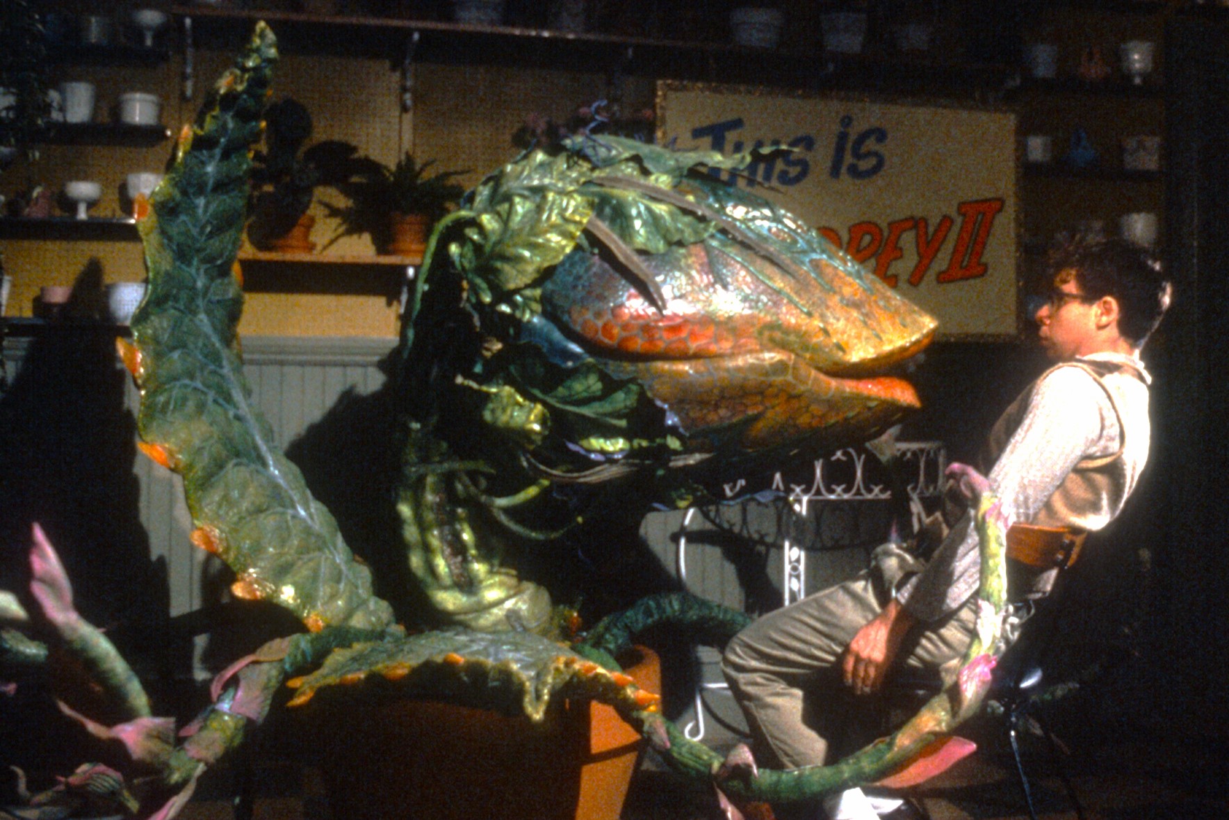 Movies on the Rooftop: LITTLE SHOP OF HORRORS | The Athena Cinema