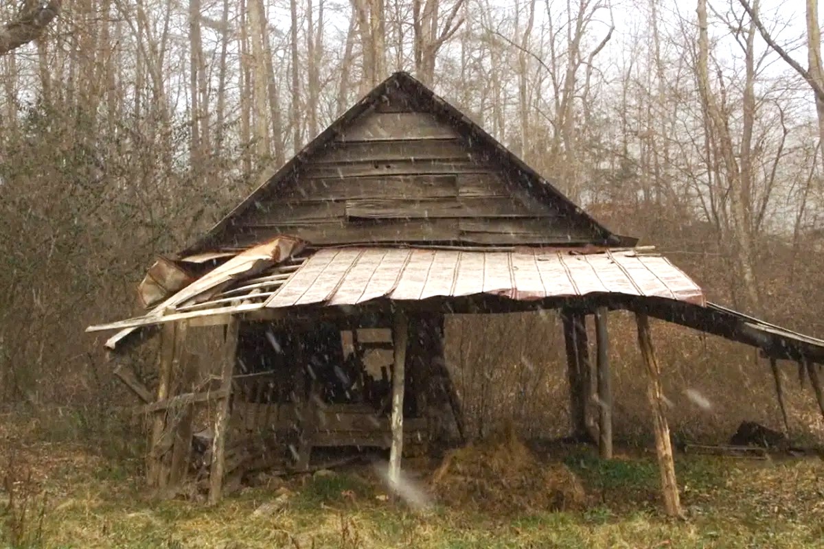 From the Hills and Hollers: HILLBILLY with Tom Hansell | The Athena Cinema